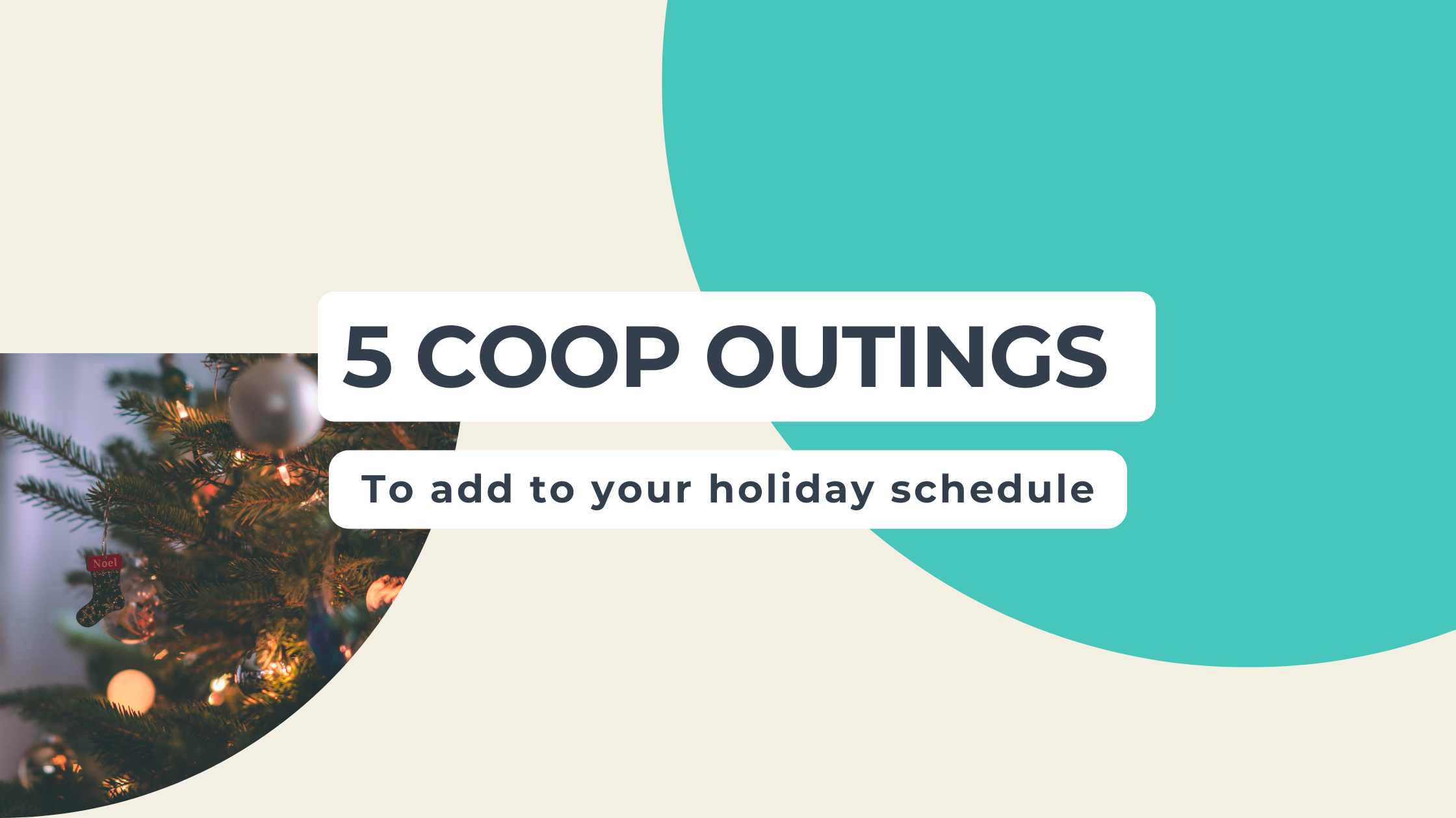 5 coop outings to add to your holiday schedule - CDRQ